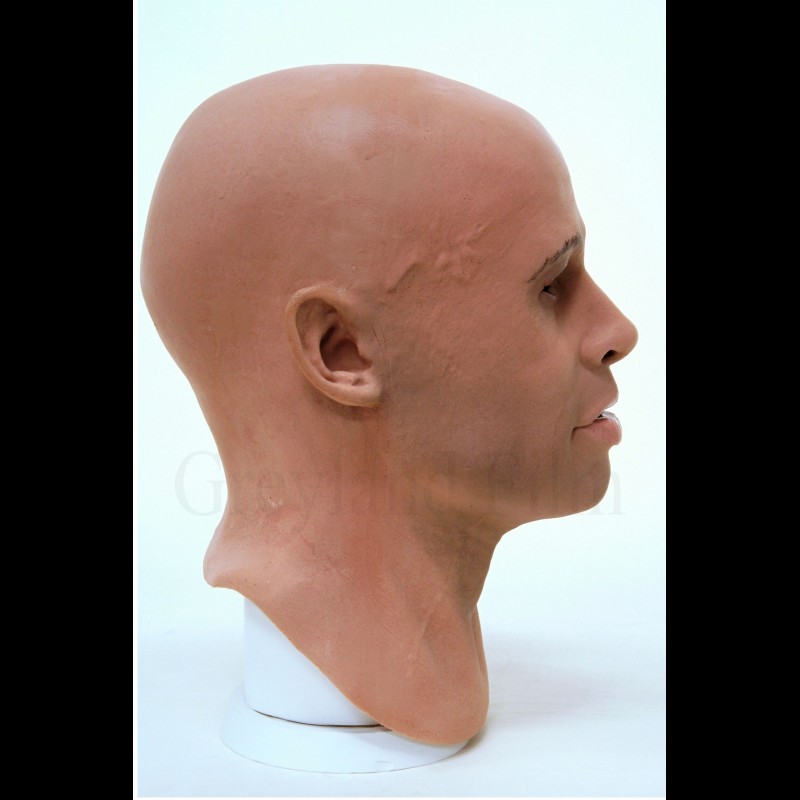 Greyland Film Masks in the USA