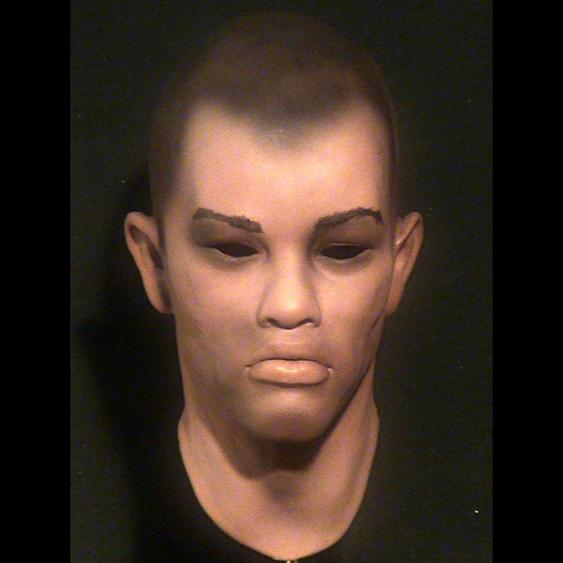 Greyland Film Masks in the USA