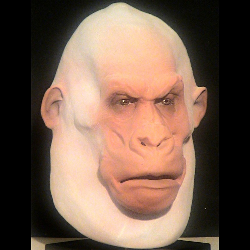 Greyland Film Masks in the USA